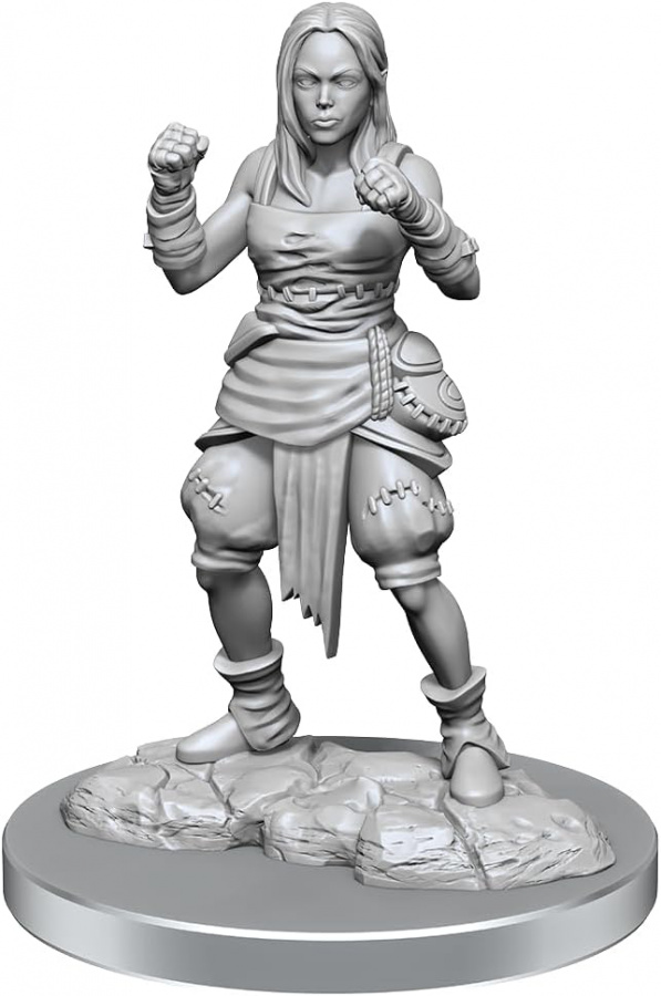 WizKids Deep Cuts: Unpainted Miniatures - Half-Elf Monk Female WizKids Deep Cuts: Unpainted Miniatures - Half-Elf Monk Female